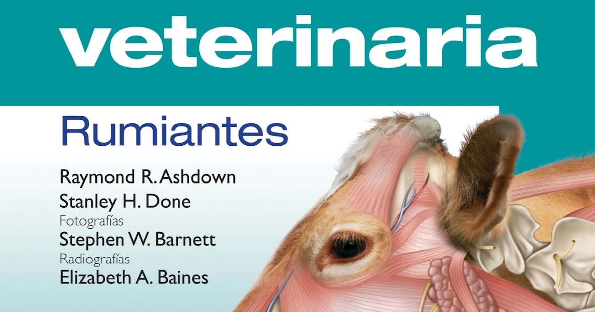 MVZDocs: Atlas en Color de Anatomia Veterinaria - Rumiantes -- 2da Ed ... MVZDocs: Atlas en Color de Anatomia Veterinaria - Rumiantes -- 2da Ed ...