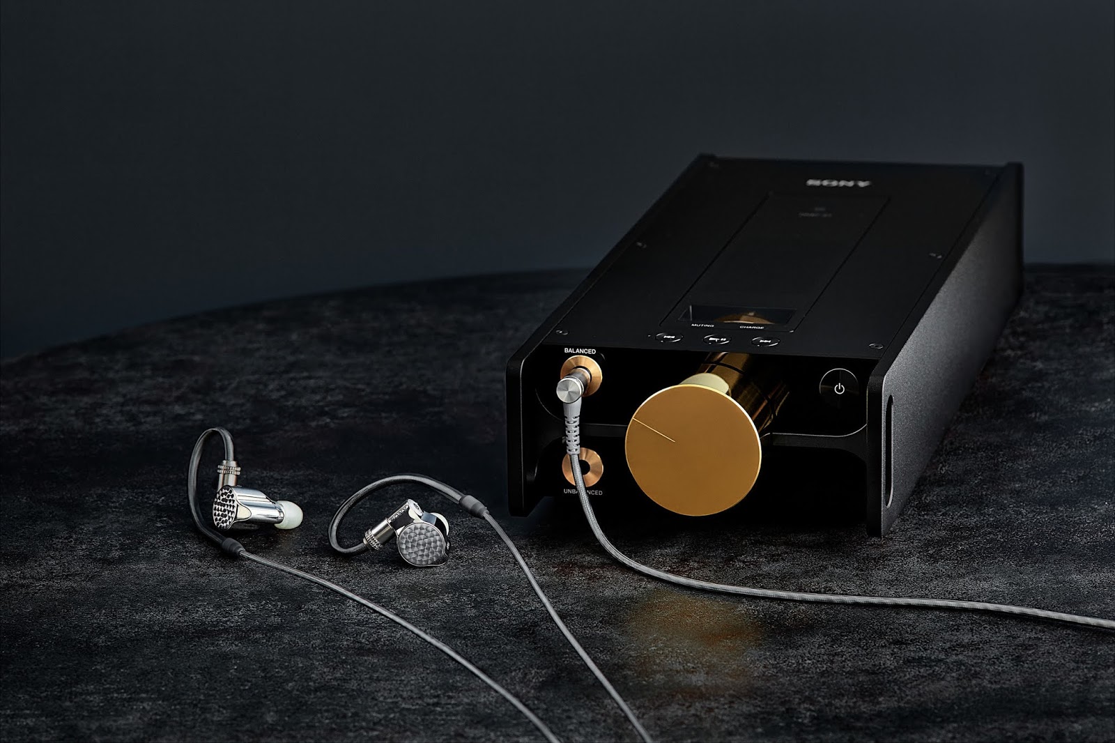 Sony Remasters the Signature Series with IER-Z1R In-ear Headphones and ...