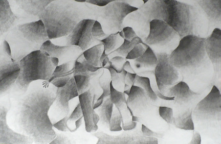 Ms. Hsieh 's Clarke Art Room- 8th Grade: Shattered Value Drawings