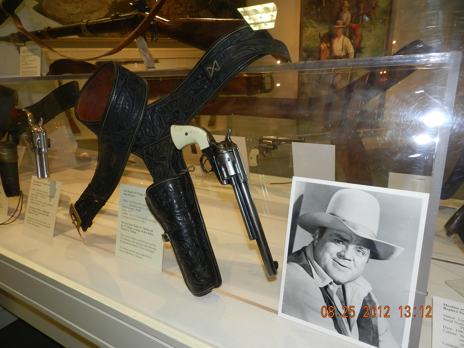 Streamin with Joe and Buddy: The Wild West