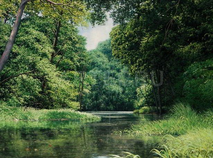 El arte es su máxima expresión : Paisaje y bodegón una realidad en el ...