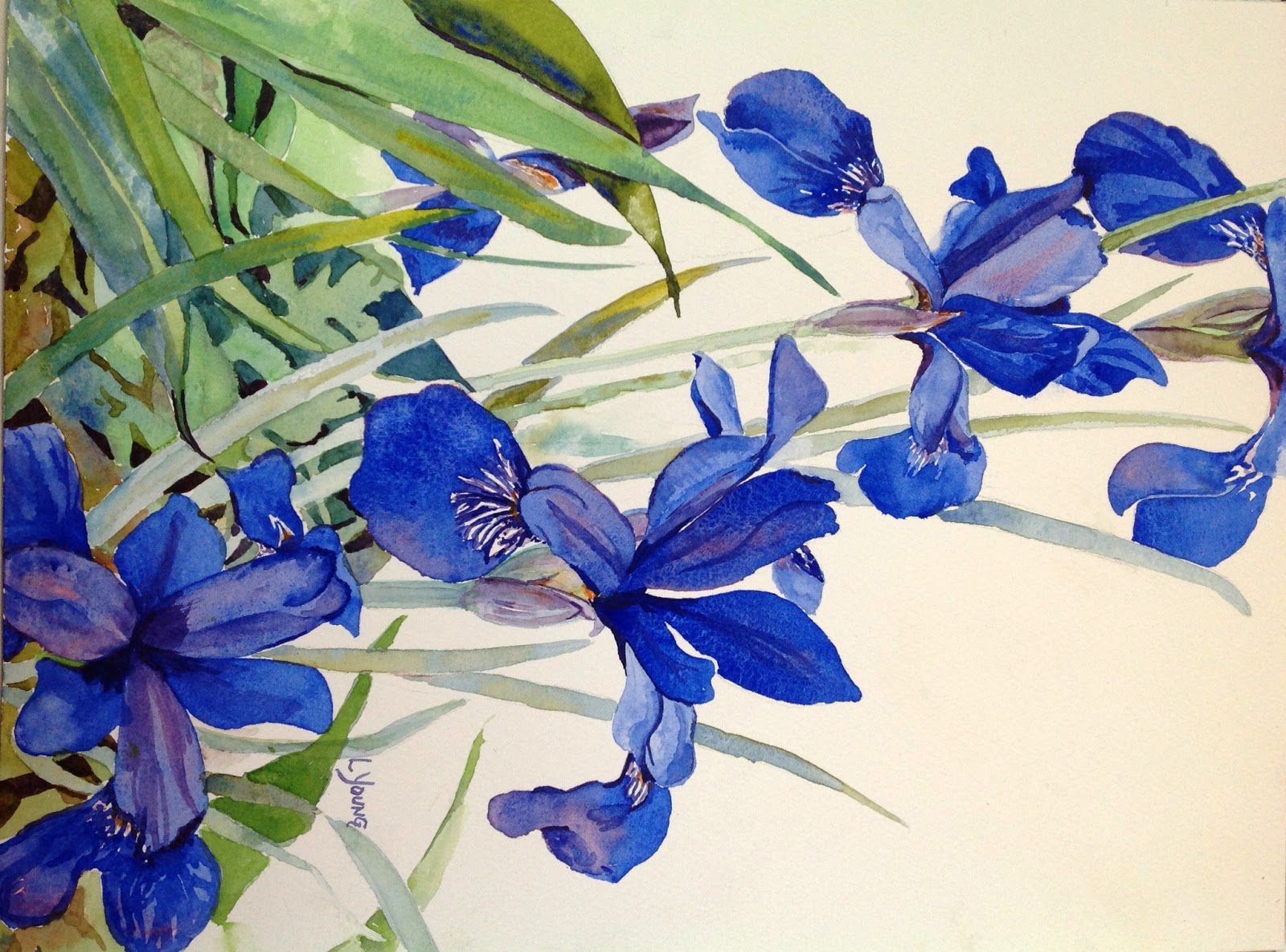 Daily Painters of Pennsylvania: Japanese Iris, watercolor by Linda Young