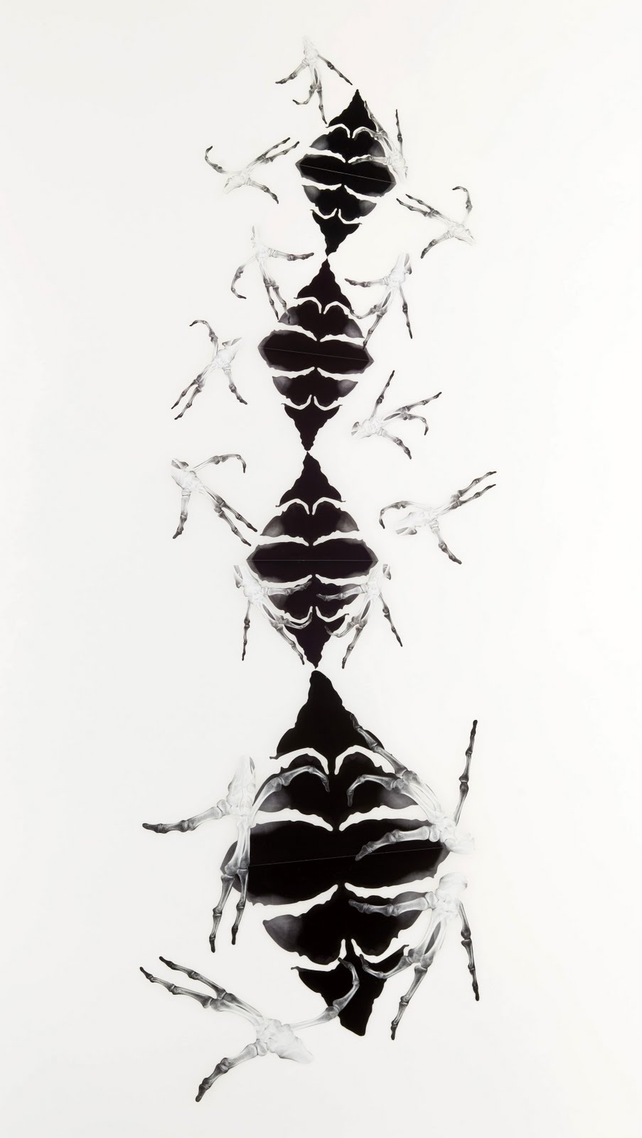 Jason Eden: X - Rays