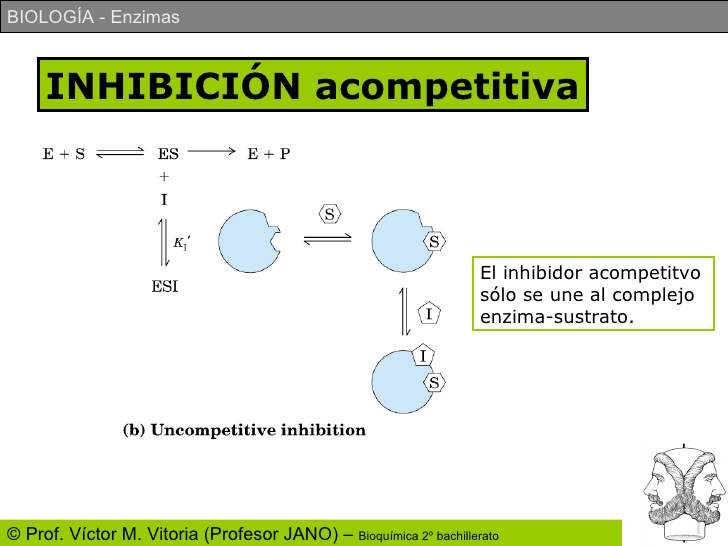 BIOQUÍMICA: Propiedades de las Enzimas