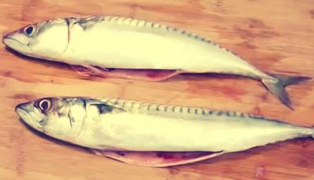 the single gourmet and the sea: Seasonal fish. Mackerel Escabeche with ...