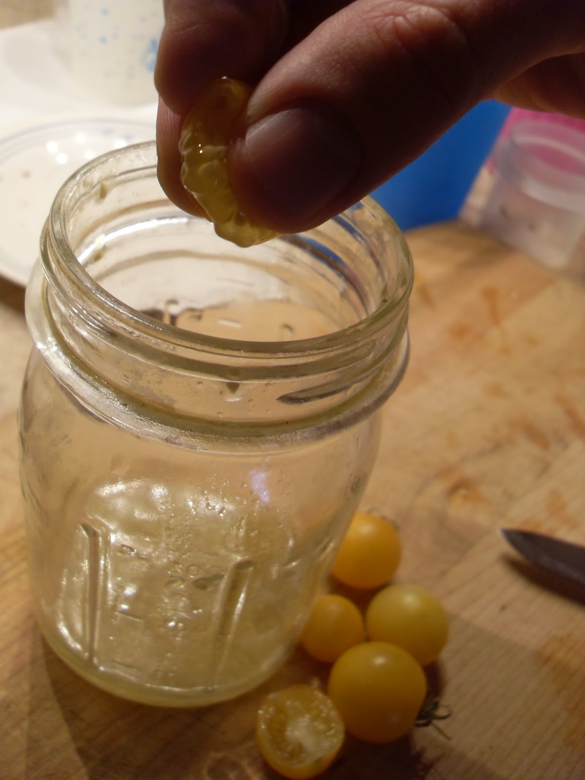 The Scientific Gardener Processing Tomato Seeds