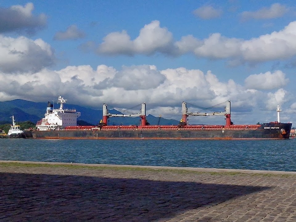 Navios de Santos & CIA: Navio GENCO AQUITAINE