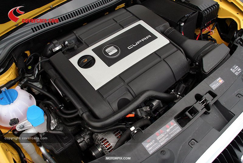 ELEGANT AND LUXURY CAR Seat Leon Cupra (2007)