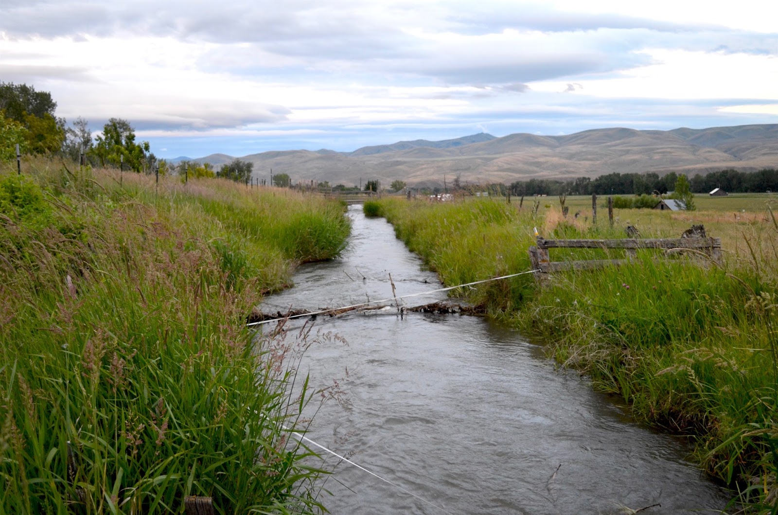 La Maison Boheme: Postcards from Eastern Oregon