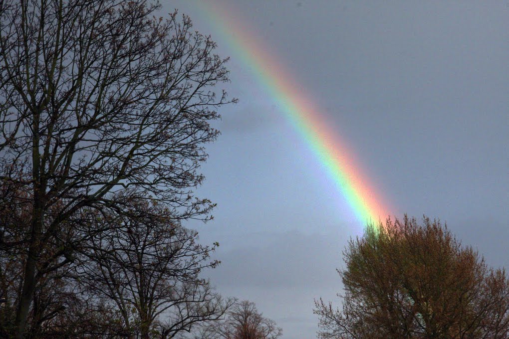 A bad witch's blog: April Showers and Evening Rainbows