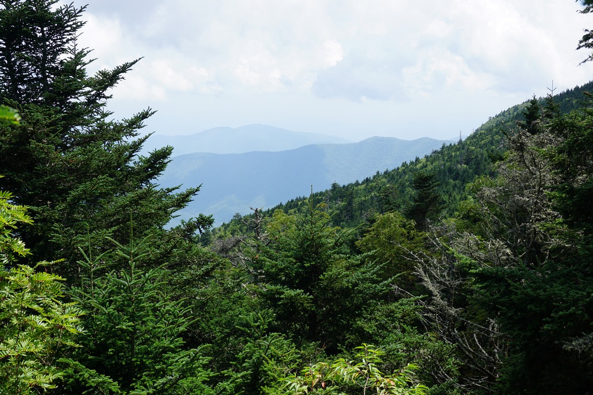 Harriman Hiker: Harriman State Park and Beyond: Mt. Mitchell Summit ...