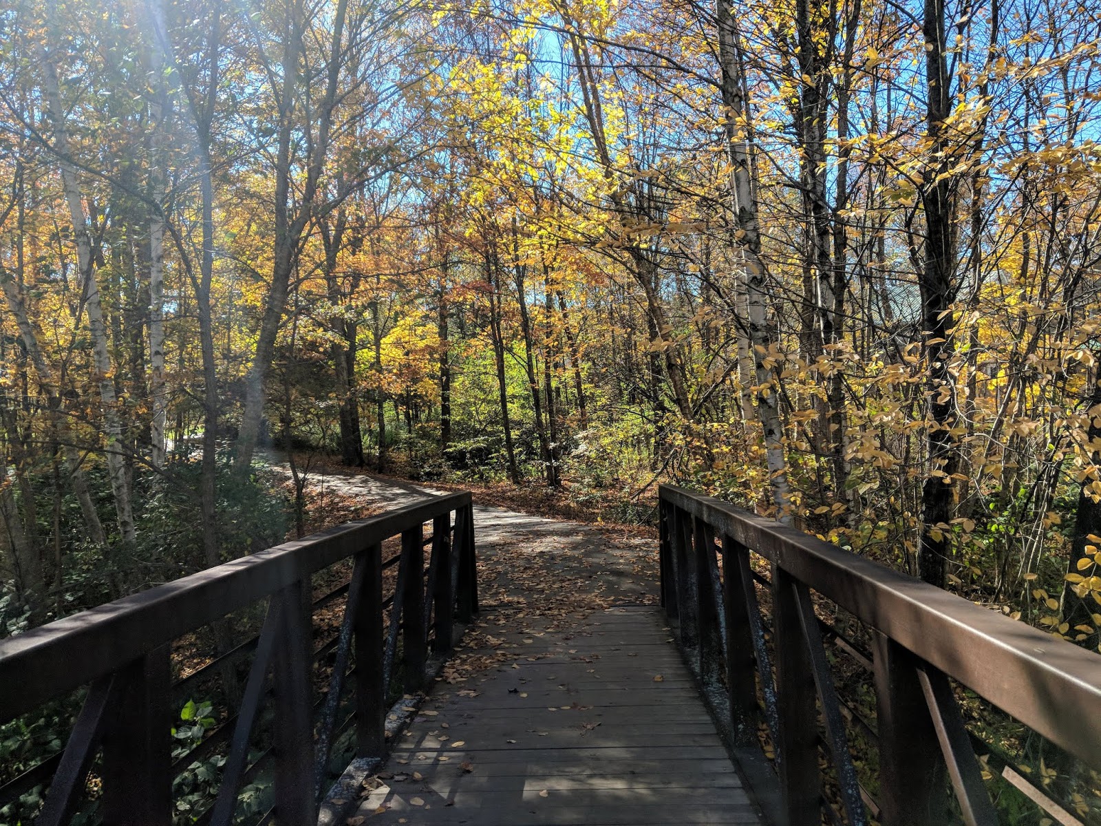 Katie Wanders : Stowe Recreation Path - Stowe, Vermont
