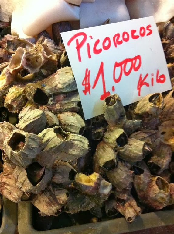 Bellingham Snowbirds in Puerto Montt, Chile: Food, Glorious Food ...