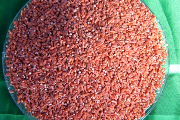 AYU MEDD : Healing Through Ayurveda: Ayurveda Therapy :- NAVARA KIZHI