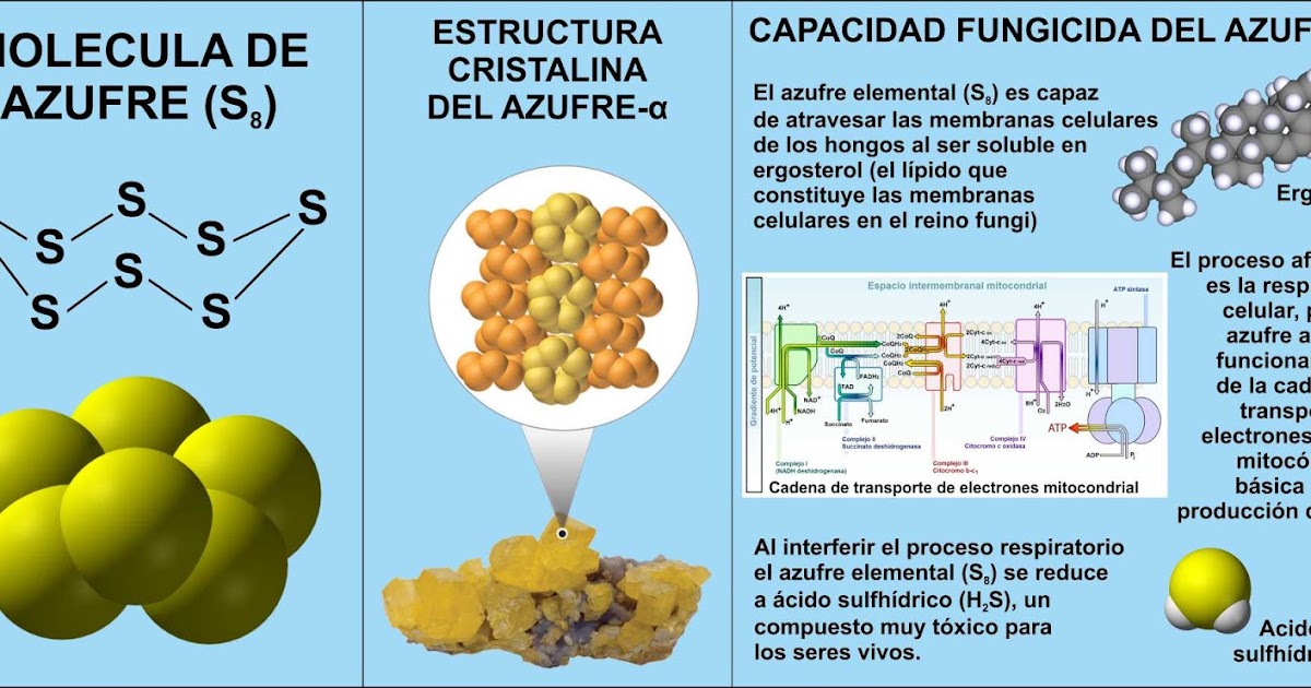 Organico: Uso del Azufre como repelente y ataque de hongos