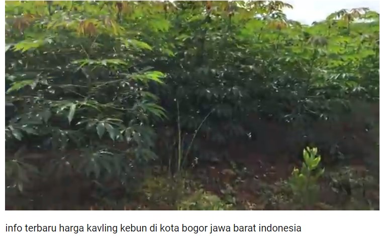 Kavling Kebun: info terbaru harga kavling kebun murah banget bersertifikat shm di bogor jawa ...