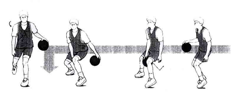 TEKNIK DASAR DRIBBLE DALAM PERMAINAN BOLA BASKET ~ DIECOACH