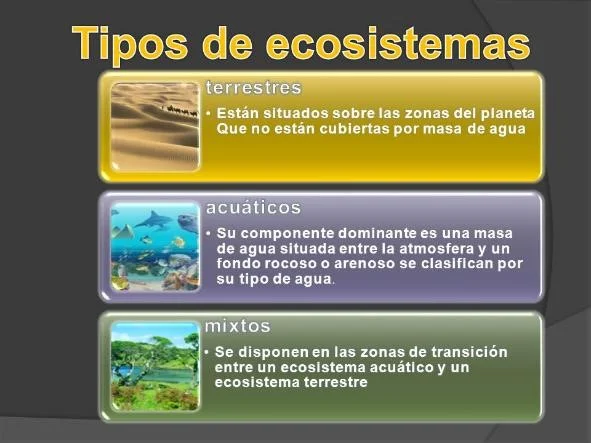 Tipos de Ecosistemas