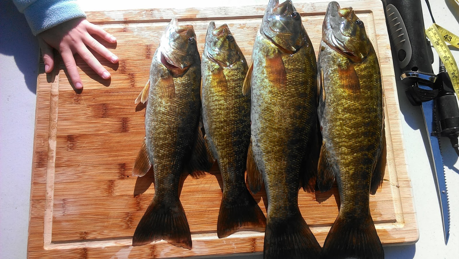 Walleye Fishing Around Milford, PA | The HuntingPA.com Outdoor Community