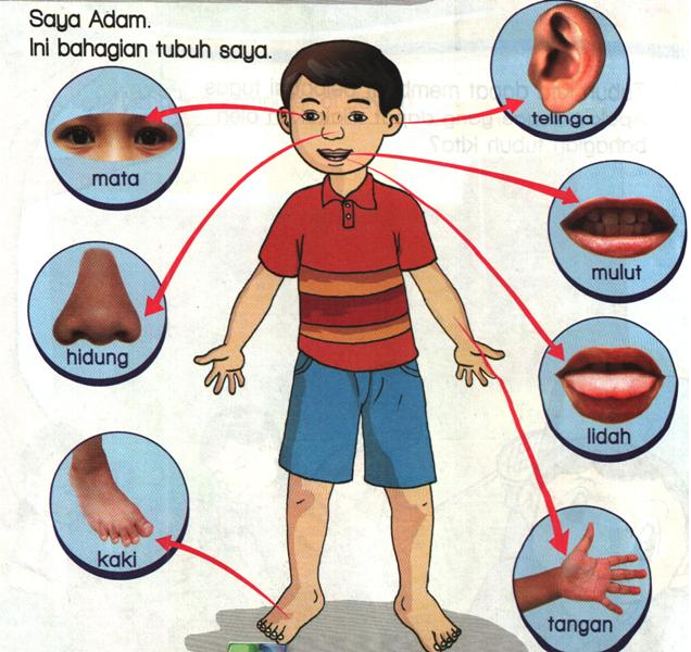 UNIT 2 : MANUSIA | Dunia Sains Dan Teknologi Tahun 1