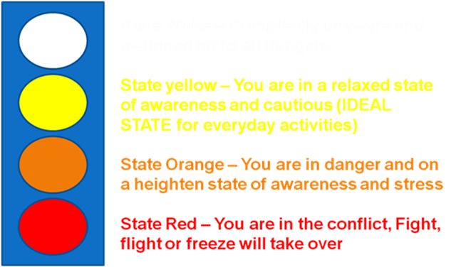 TWINAS' FAMILY MAGAZINE : Home Defense & Family Safety