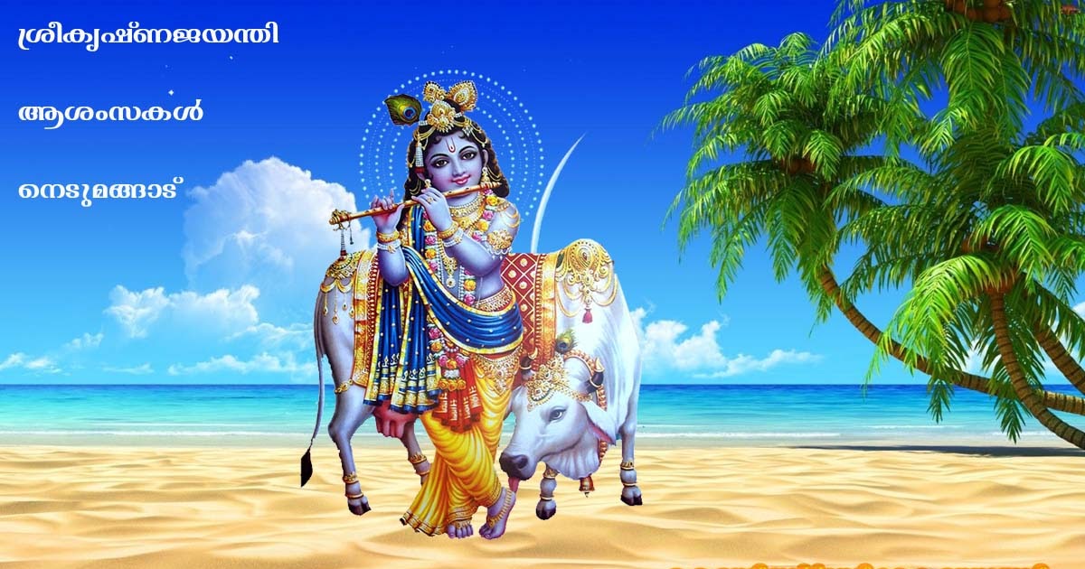 ROSHAAN ROHAAN: sreekrishna jayanthi nedumangad