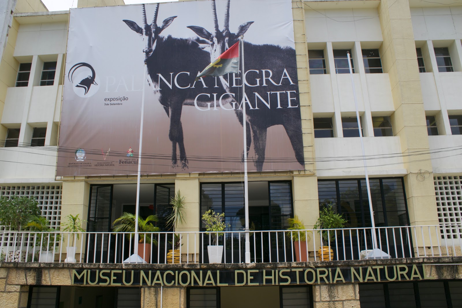 Adventure Thug: Luanda City Tour