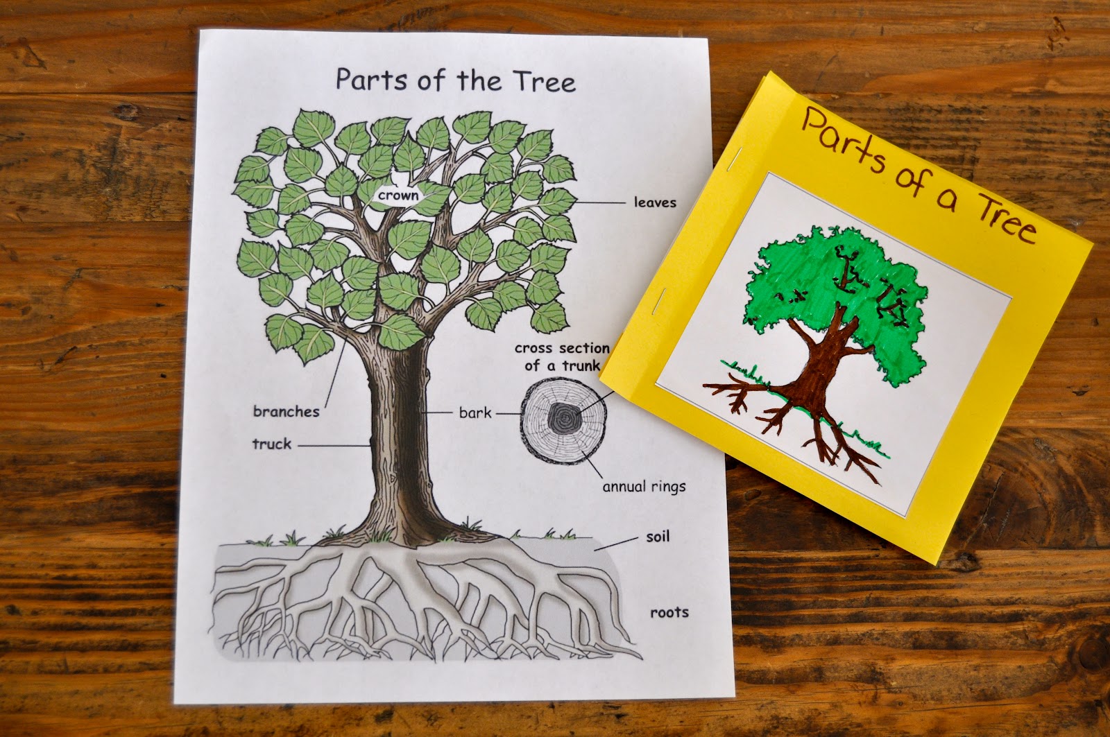 Sorting Sprinkles: Fall for Preschoolers - Part 2