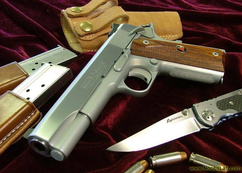 Weapon Guns HD - Set 2 - NoobsLab | Eye on Digital World