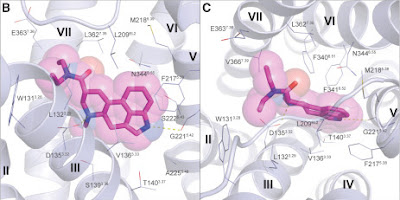 The Neurocritic: January 2017