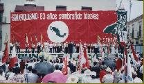 MOVIMIENTO NACIONAL SINARQUISTA
