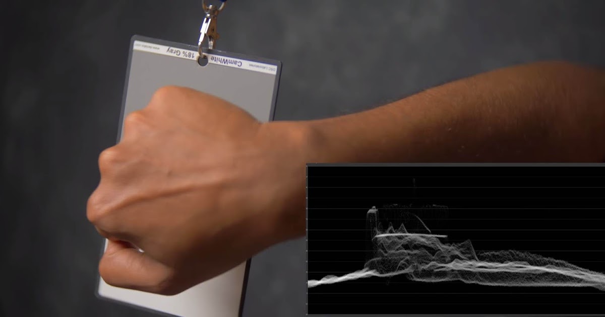 How to use your Hand as a Light Meter - Photography Blog Tips - ISO ...