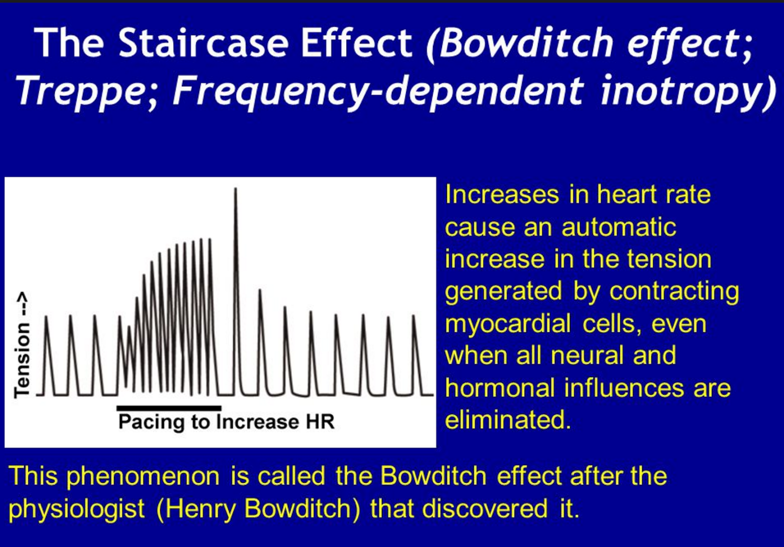 Tutor's Notes: general, cardiovascular, respiratory and renal ...