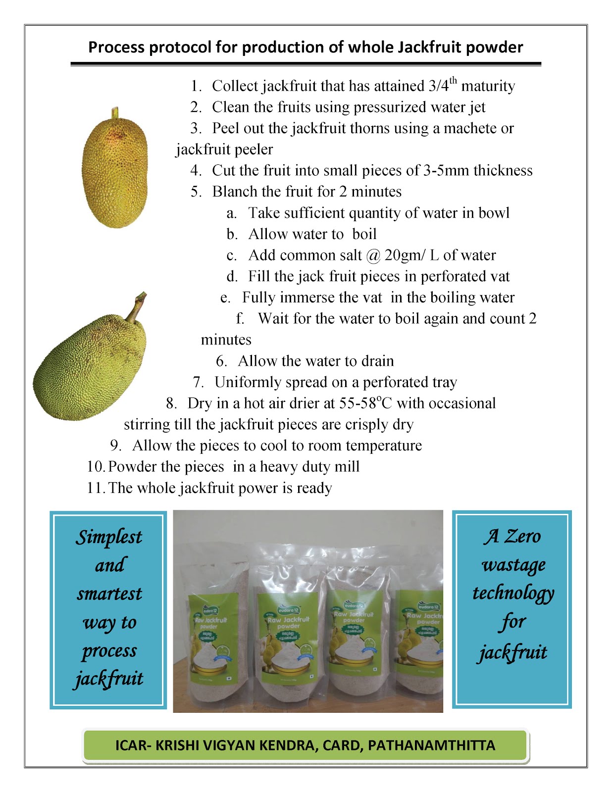 MIX MASALA: Jack fruit powder - How to make it & Green pepper corn in brine