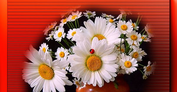 Asi Menekse-png-resim-paylaşımı : flowers tubes-png çiçek,Asi Menekse ...