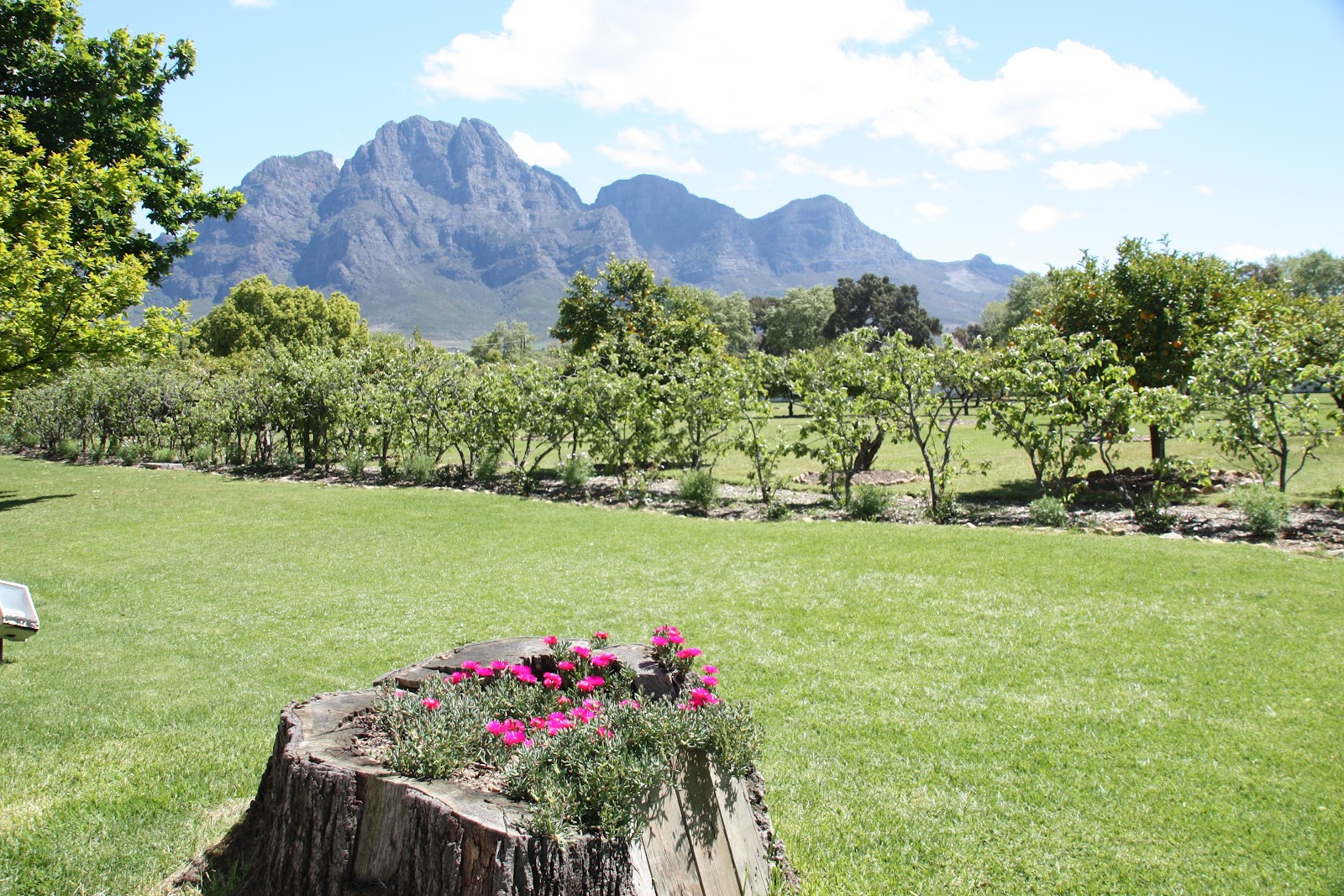 Ons gaan op vakansie naar Suid Afrika: Dag 25-08 oktober
