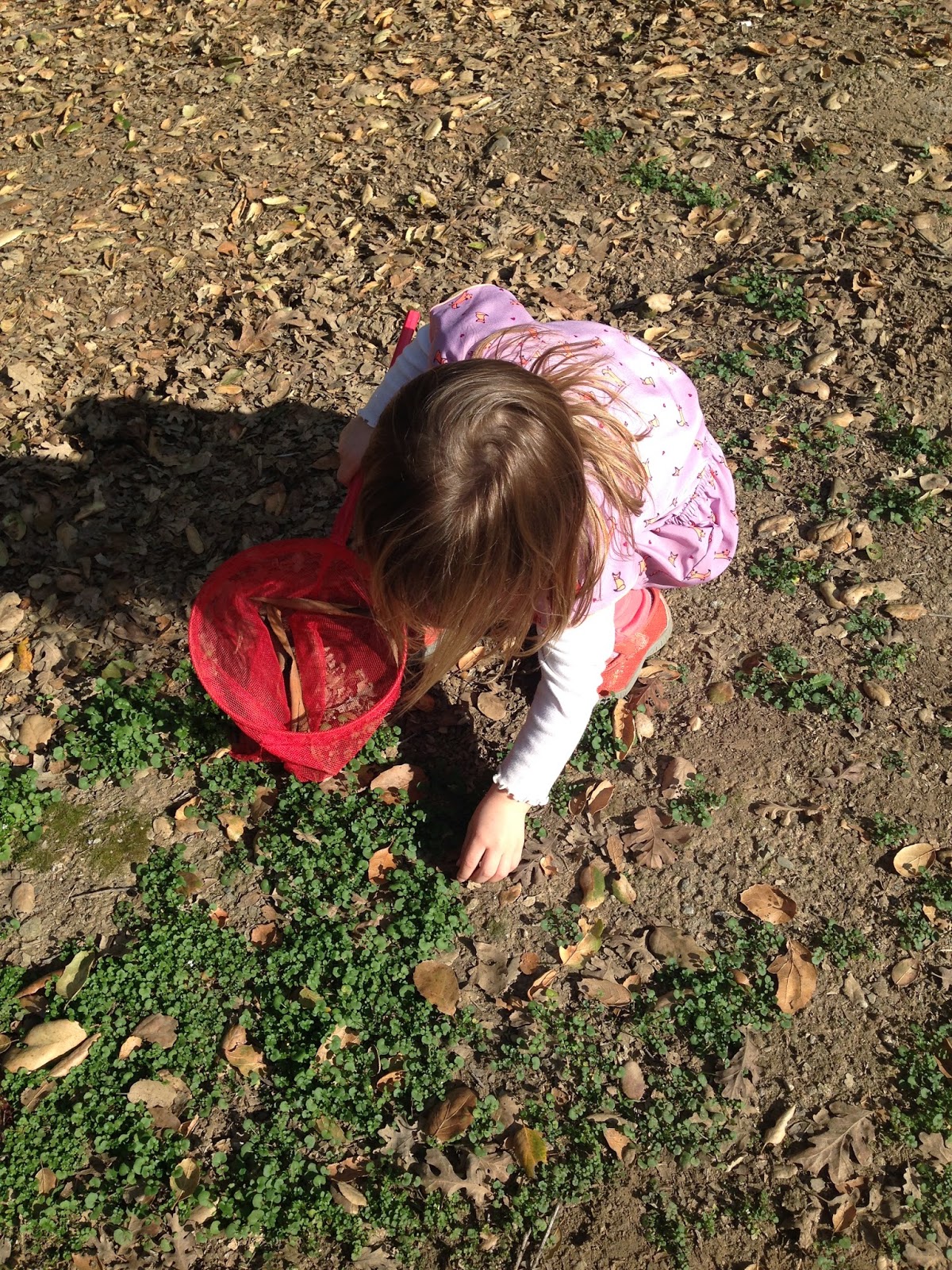 Kids By Nature: How To Encourage Interaction With Nature