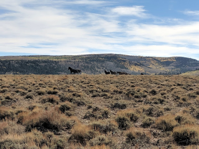 Katie Wanders : Fall ATV Ride in Utah's Castle Country
