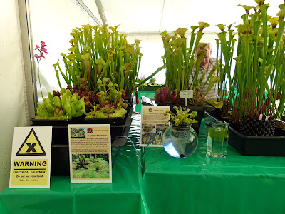 Carnivorous Plants: July 2011