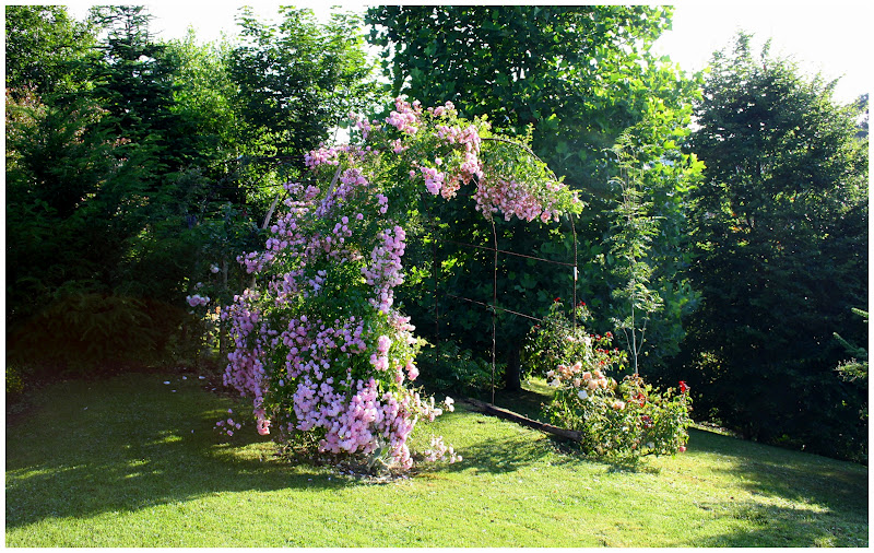 .: Julio, sol y buen tiempo en gran medida