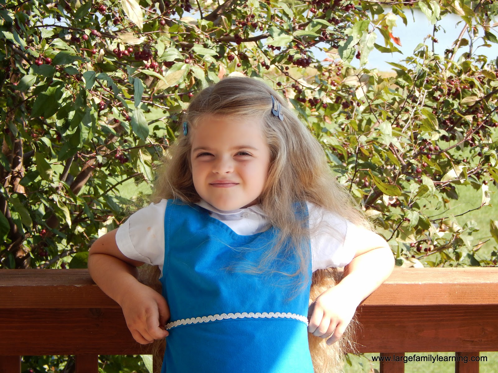 Large Family Learning