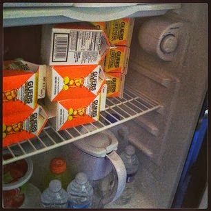 SKOOK SPOTLIGHT: Our Obsession With Guers Iced Tea (8 Pics)