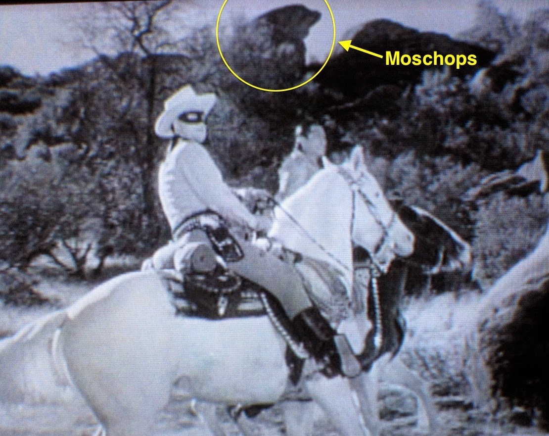 Iverson Movie Ranch: Classic Rock seen in "The Lone Ranger": Moschops ...