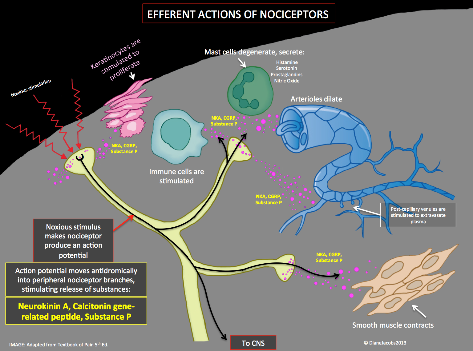 HumanAntiGravitySuit: Nociceptive musings5