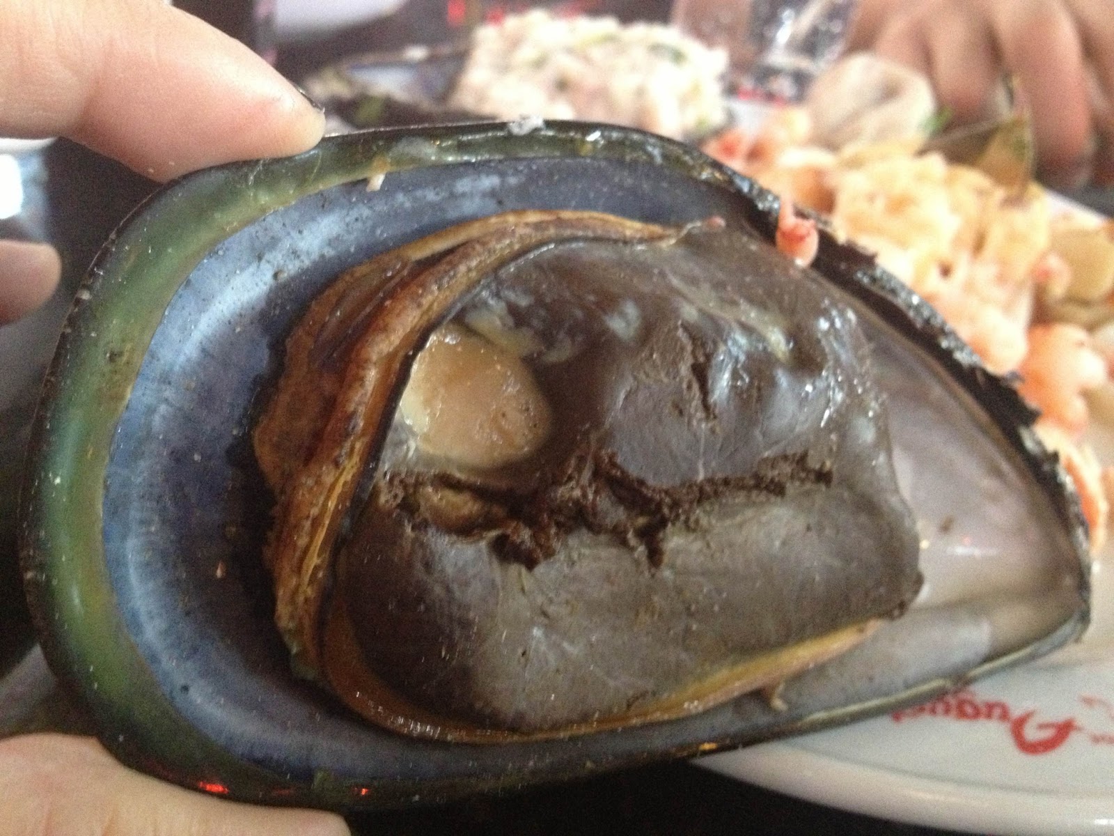 Culinária-Receitas - Mauro Rebelo: Explorando Mercado no Chile