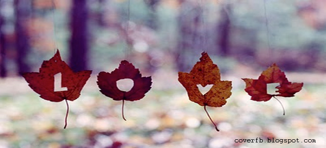 Love is Growing - Facebook Timeline cover | Facebook Timeline Cover ...