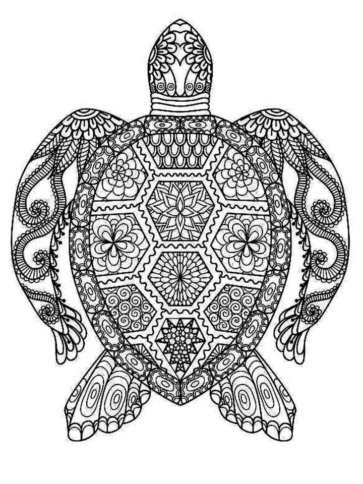 Pinto Dibujos: Mandala de tortuga