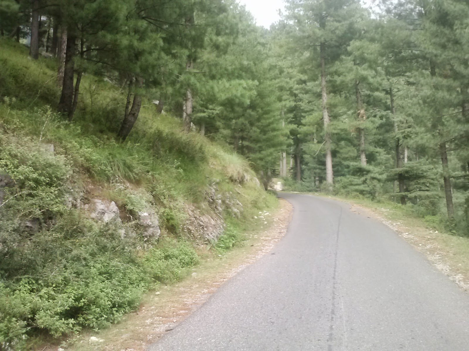 TourPakistan: Thandiani; A gripping tour for the life time