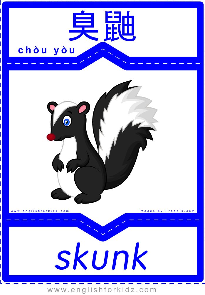 English-Chinese Flashcards: Wild Animals. Part 4.