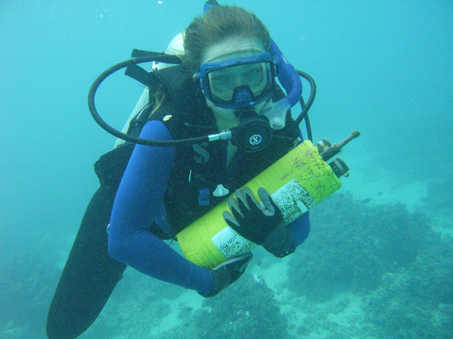 Sabbatic research in Moorea... by Brian Rivest: Post #20 - Camp SeaFET ...